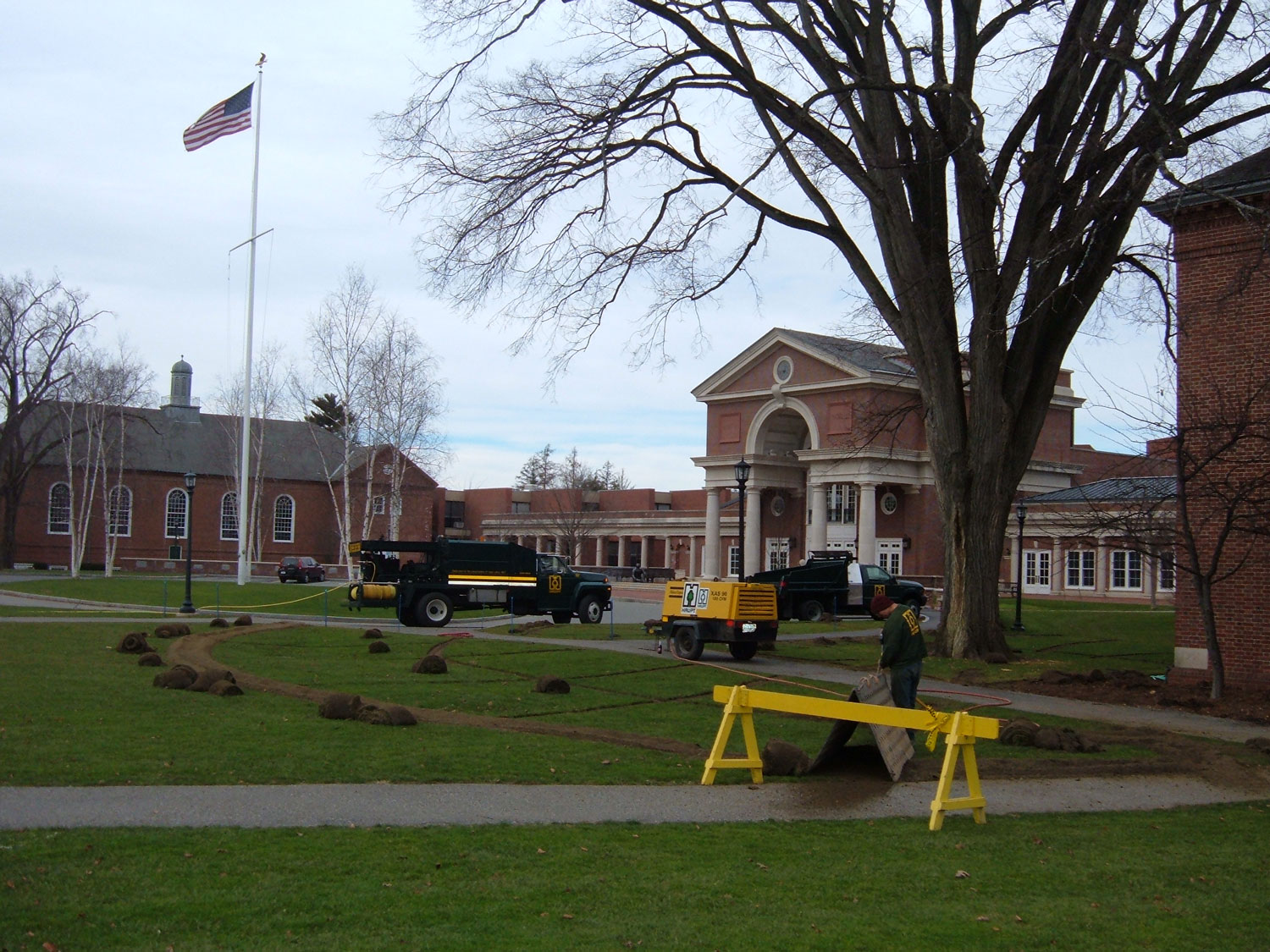 The Haupt Tree Co., Inc. | Sheffield, Great Barrington, MA | Tree Care