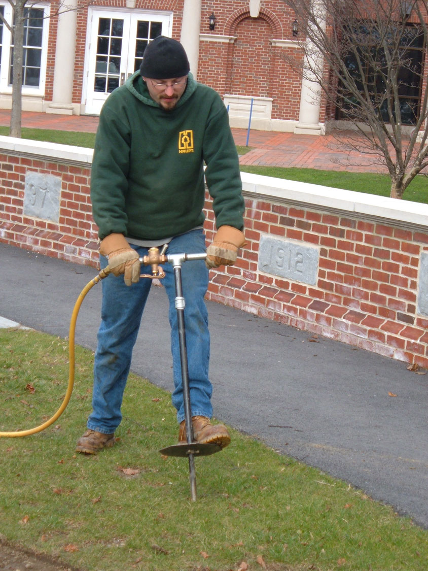 The Haupt Tree Co., Inc. | Sheffield, Great Barrington, MA | Tree Care